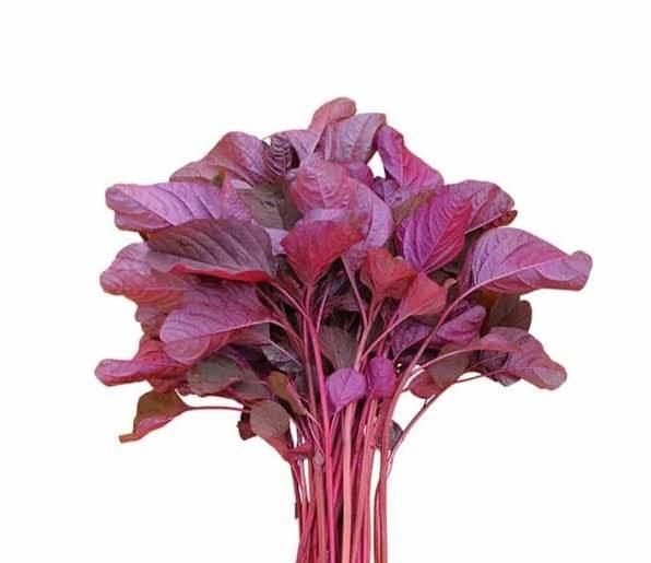 Fresh Lal sak 500 gram up – AL MODINA