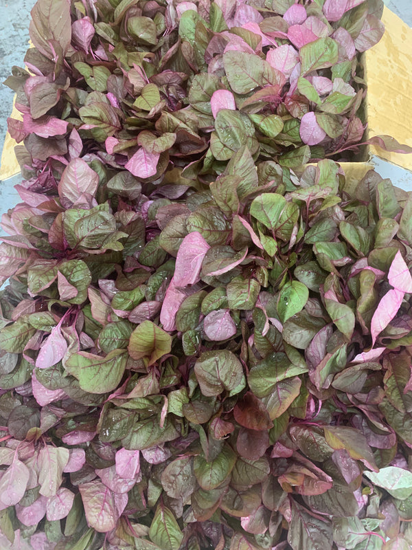 Fresh Lal sak 500 gram up – AL MODINA