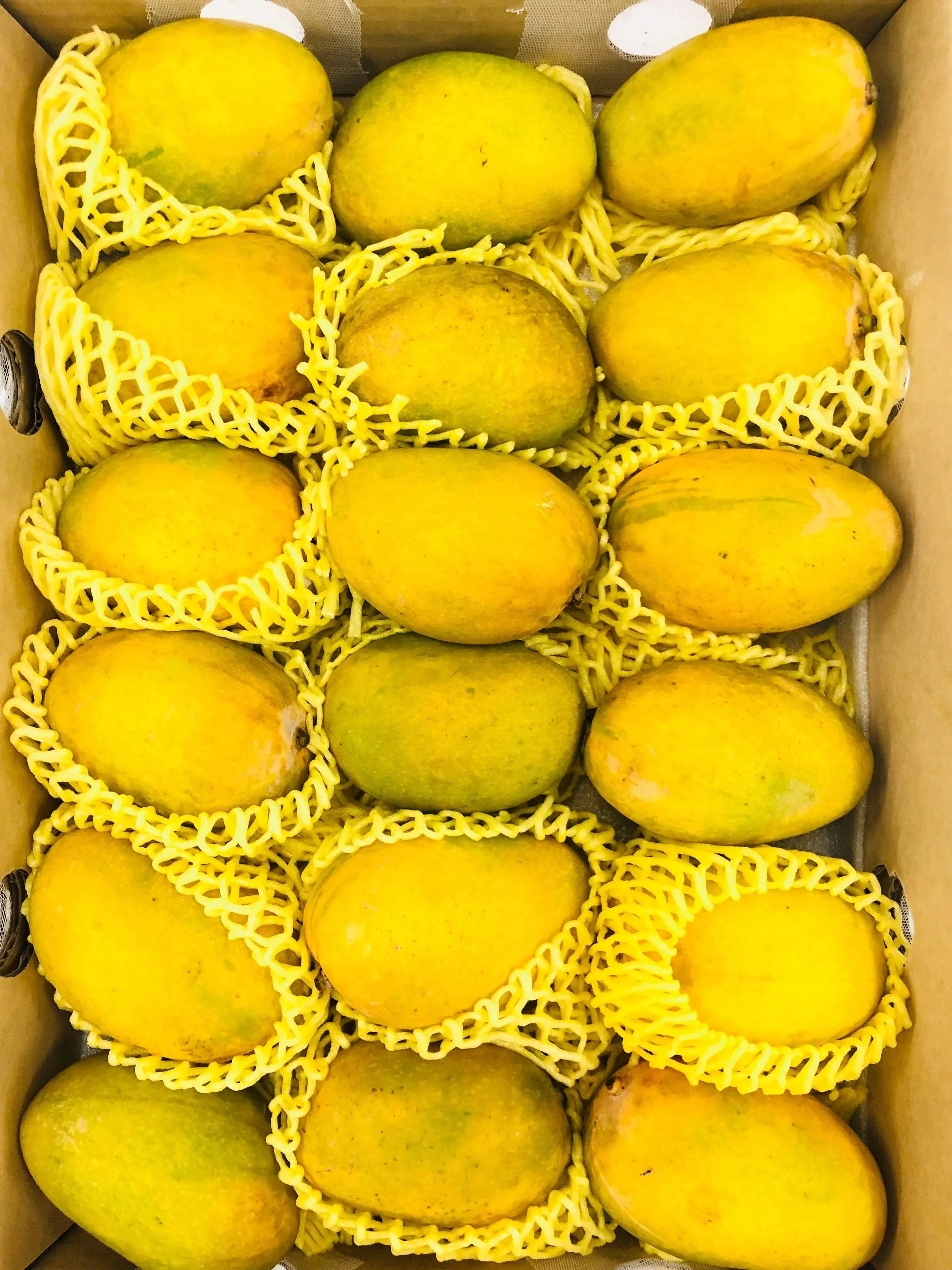 Fresh Mango Chaunsa - Freesh MANGO Chaunsa PAKISTAN 4.7-5Kg